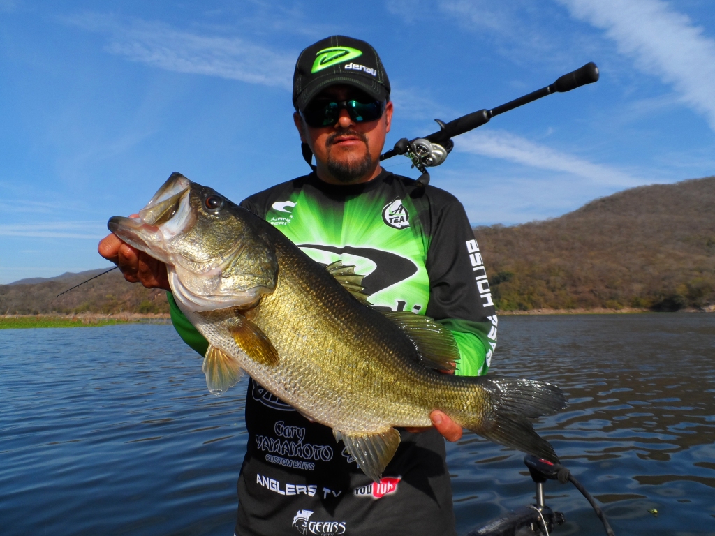 Donde Pescar :: Estructura y cobertura en la pesca de lobina