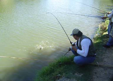Donde Pescar :: Cómo Pescar su Trucha