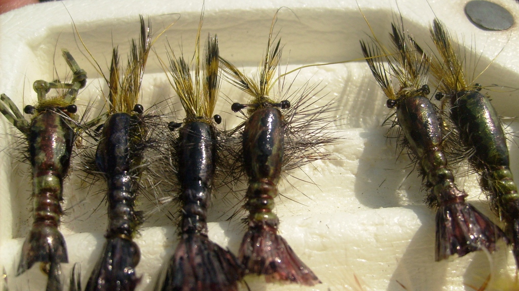 Donde Pescar :: Acocil: ¿Como atarlo?