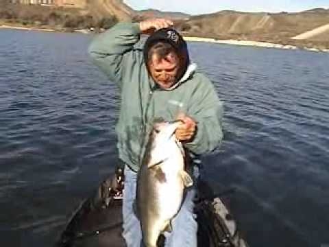 Donde Pescar :: El impresionante Butch Brown pescador de lobinas monstruo